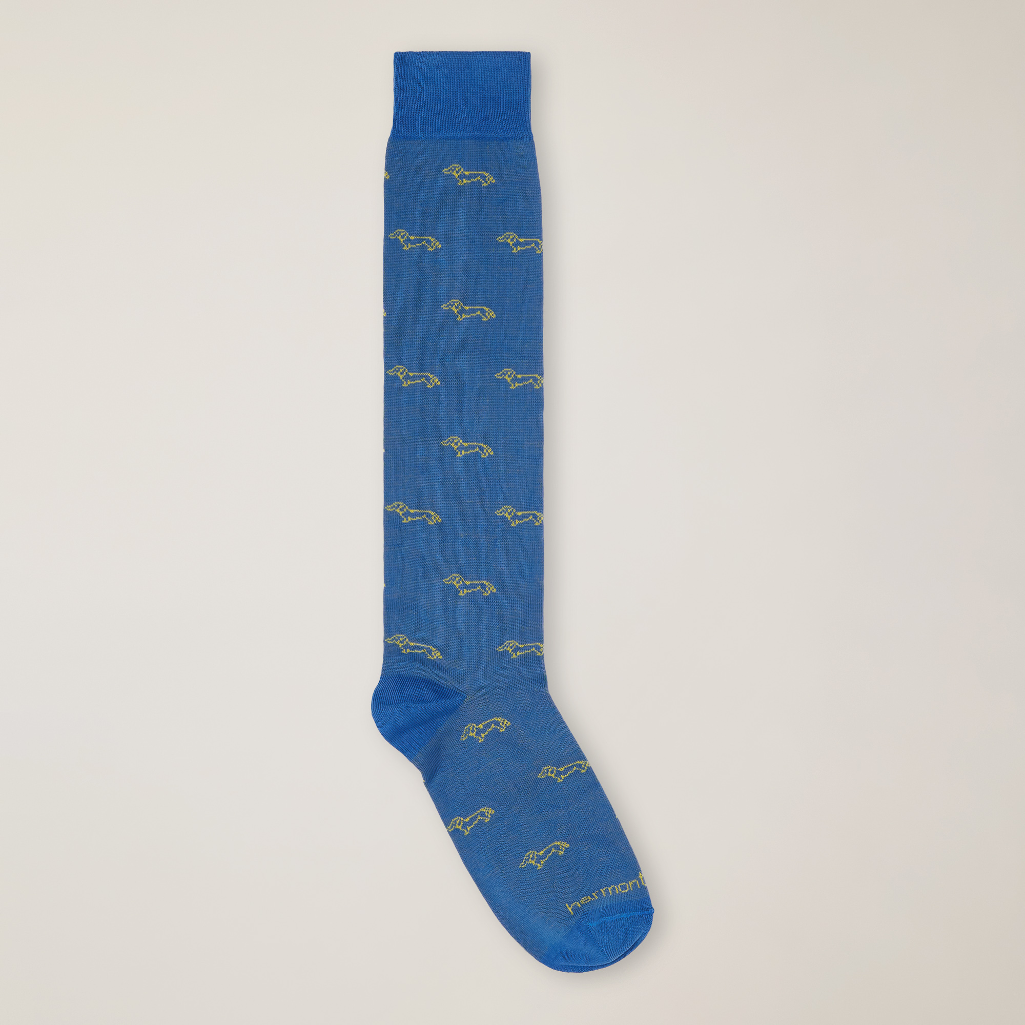 All-Over Dachshund Long Socks
